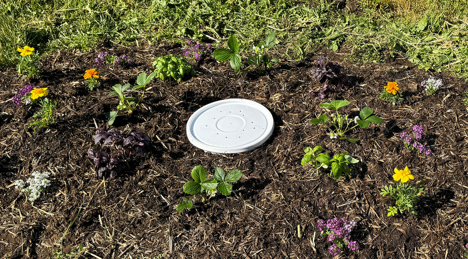 The Ultimate Guide to Building an In-Ground Worm Composter – Pacific ...