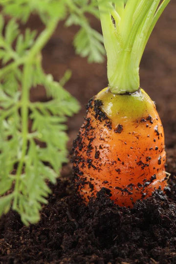 Pacific Composting Co. | Enrich Your Soil Naturally.