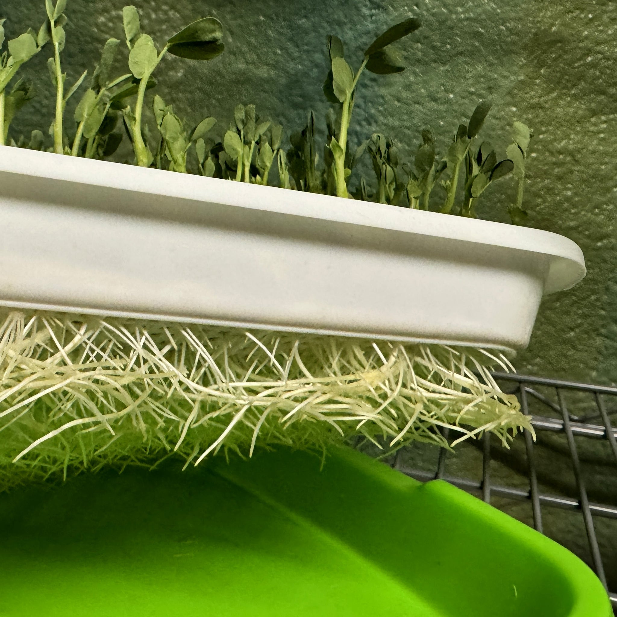 Hemp Worm Blanket for your Worm Bin – Pacific Composting Co