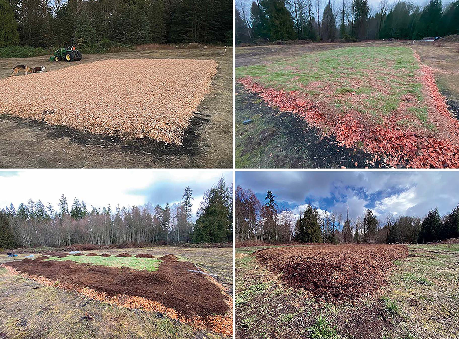 Contact Pacific Composting Co | Get Your Composting Questions Answered